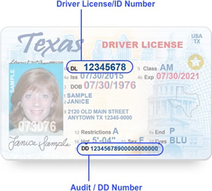 Easy Driving Record